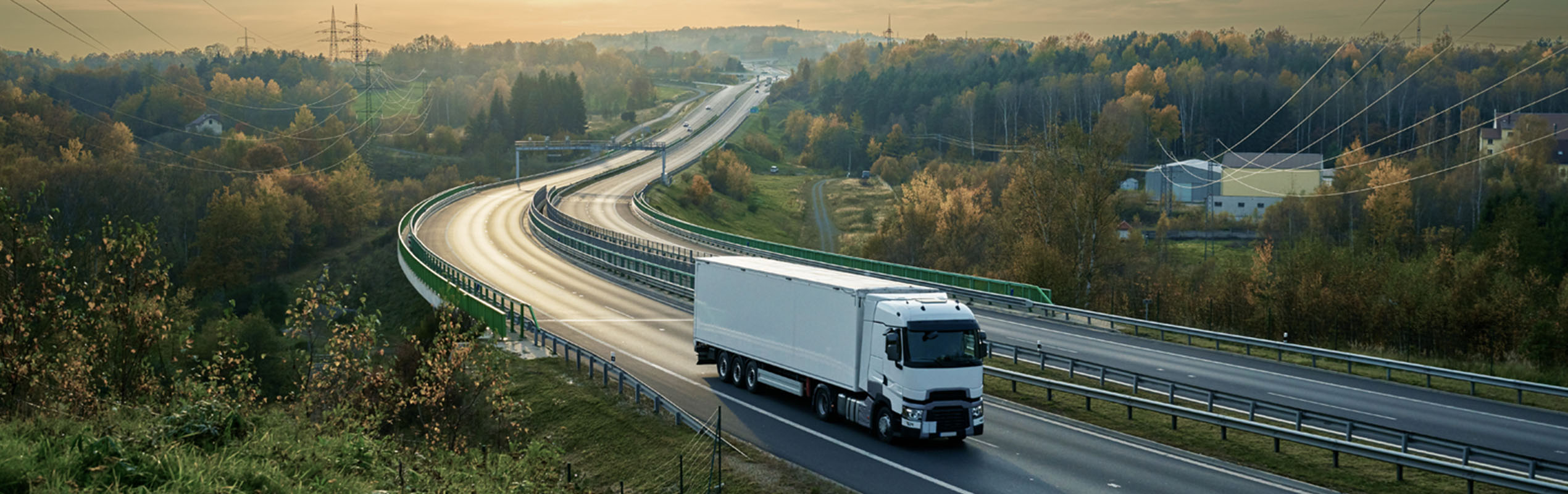 Corporate Strategies for Voluntary Carbon Markets | Morgan Stanley