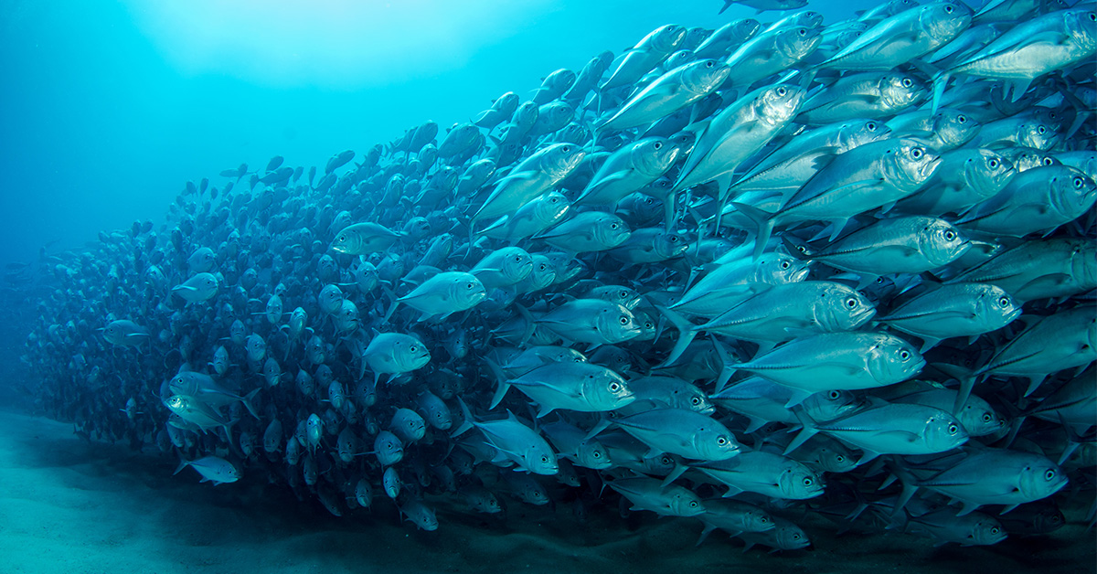 Diversify Concentrated Stock Positions: A Guide | Morgan Stanley