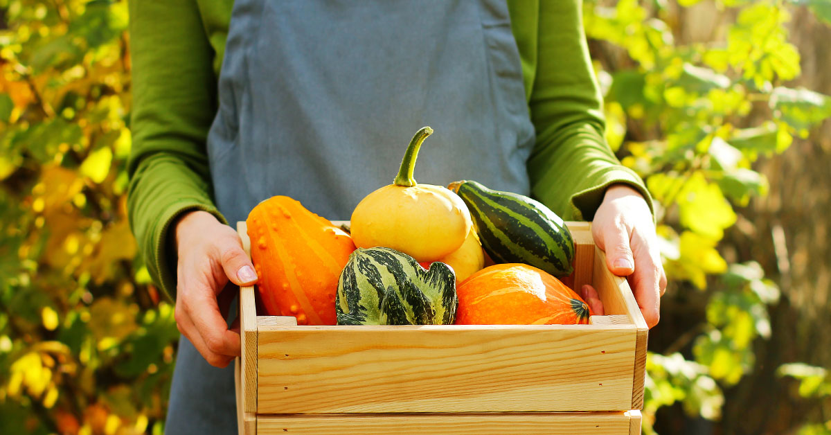 Fall Financial Tips: Planning for the New Year | Morgan Stanley