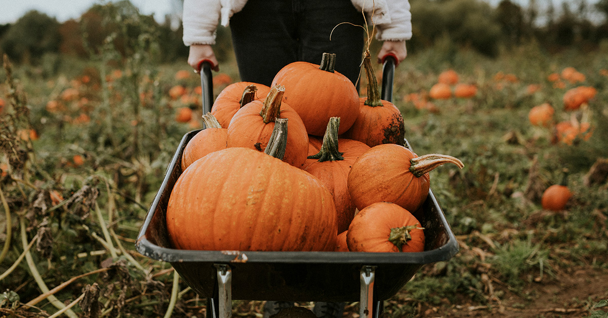 Fall Financial Tips: Planning for the New Year | Morgan Stanley