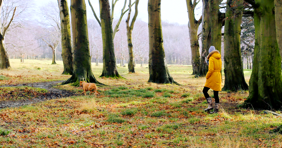 Goals-Based Planning: Stay on Track | Morgan Stanley