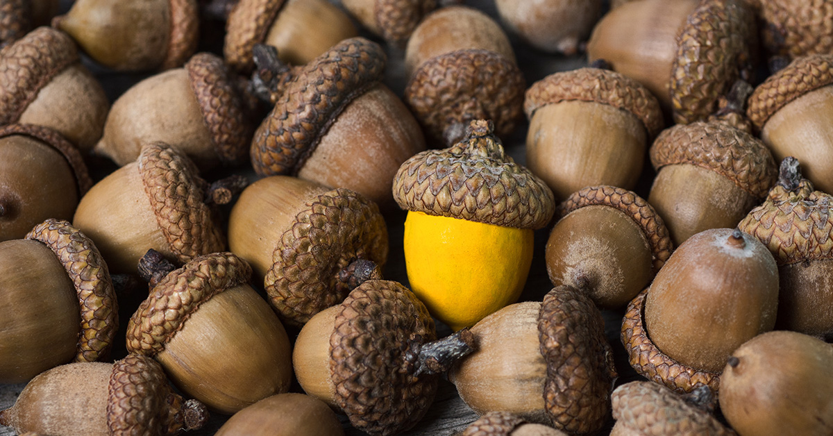 Direct Indexing: What It Is and Its Benefits | Morgan Stanley