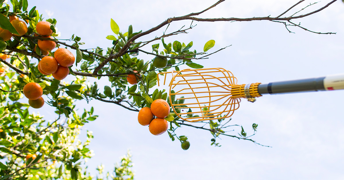 Are Stocks Overpriced? Key Metrics to Watch | Morgan Stanley