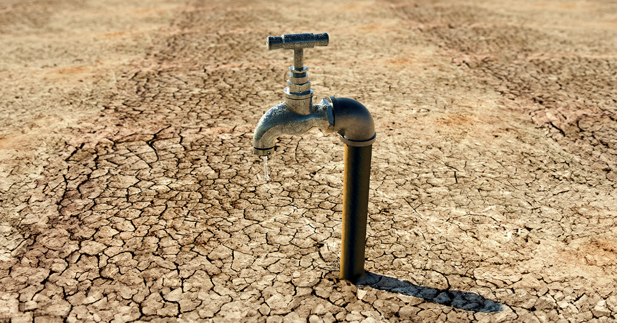 Liquidity Squeeze Looms for Markets in 2024 | Morgan Stanley