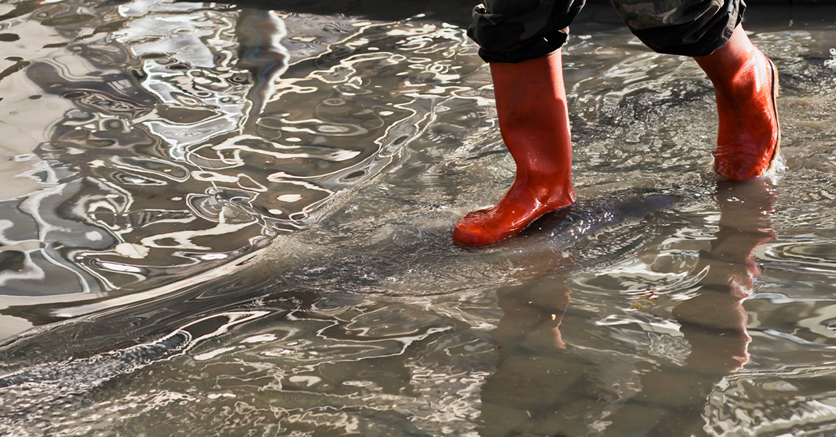 Stock Market Correction 2023: Causes | Morgan Stanley